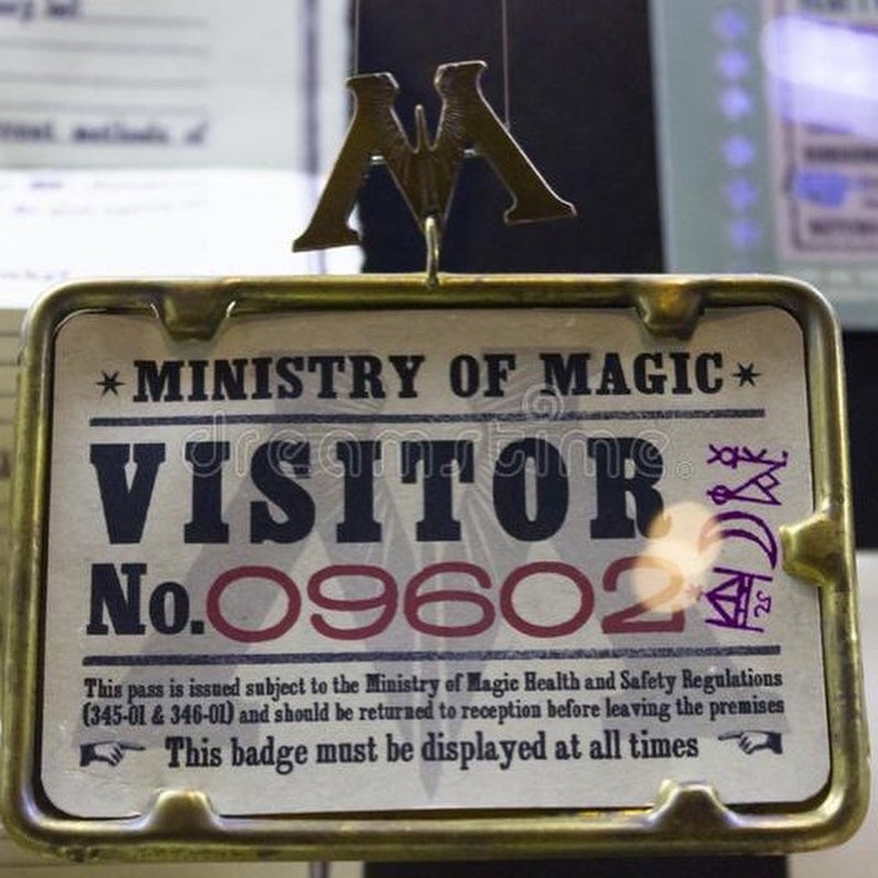 Ministry of Magic Visitor Pass - Etsy