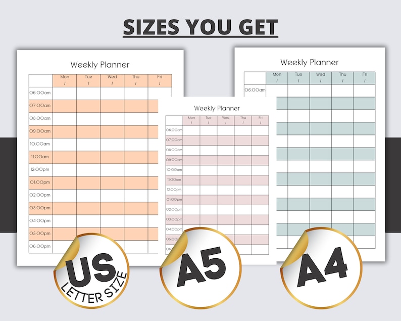 Hourly Planner Printable, Monday to Friday Weekly Planner Page, 6 Am to ...