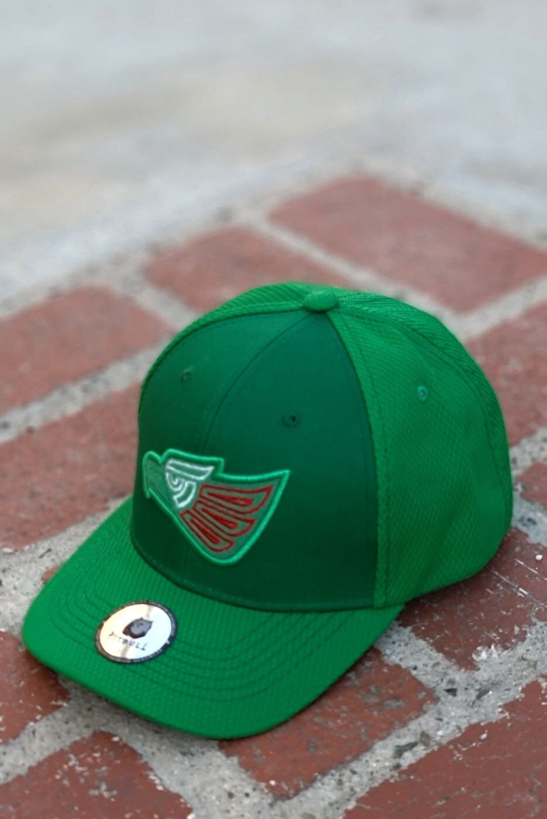 Mexican Eagle Escudo Patch Hat Snapback Trucker Cap - Etsy