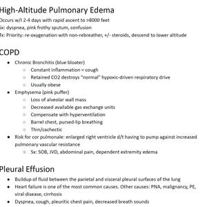 CEN Review Notes - Complete Set - Etsy