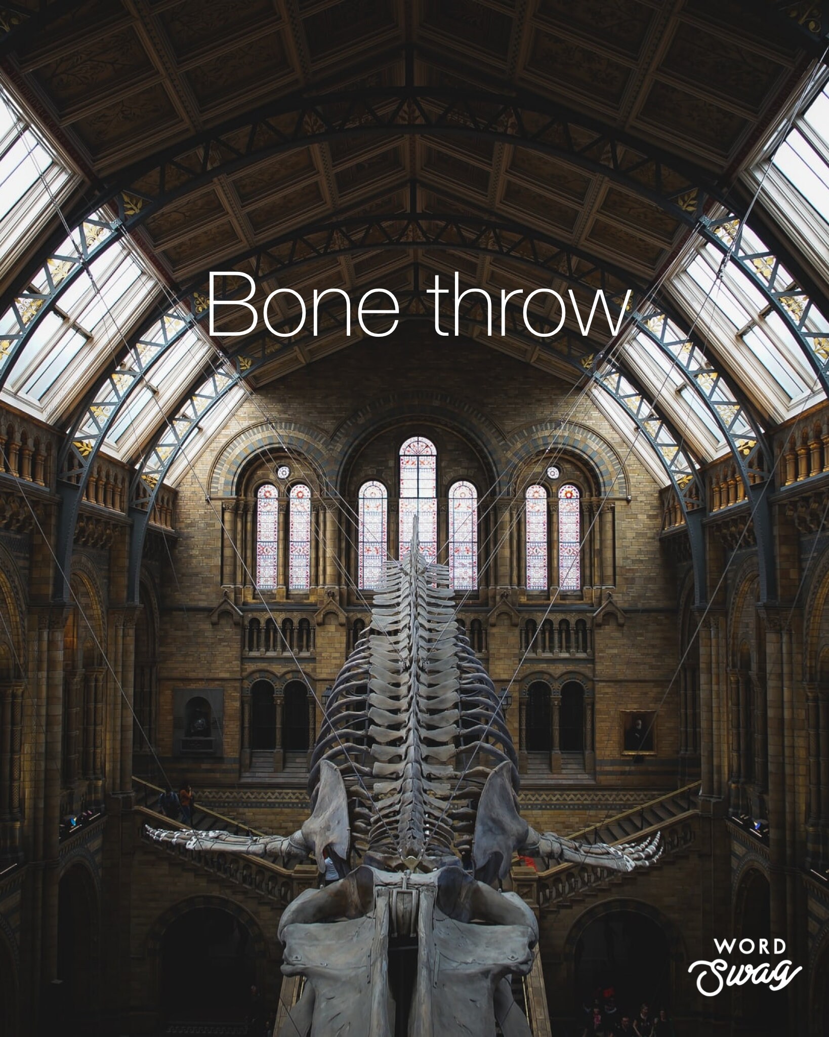 Bone Throw Divination | Etsy