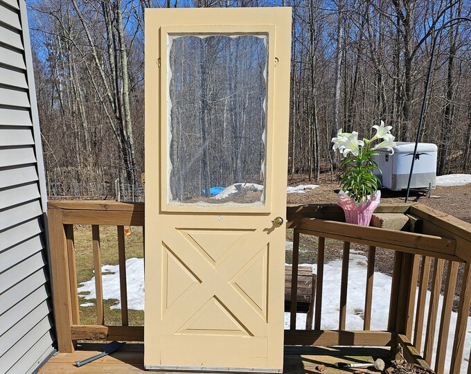 Vintage Crosshatch Storm Door, Plexiglass Insert, Screen Insert, All ...