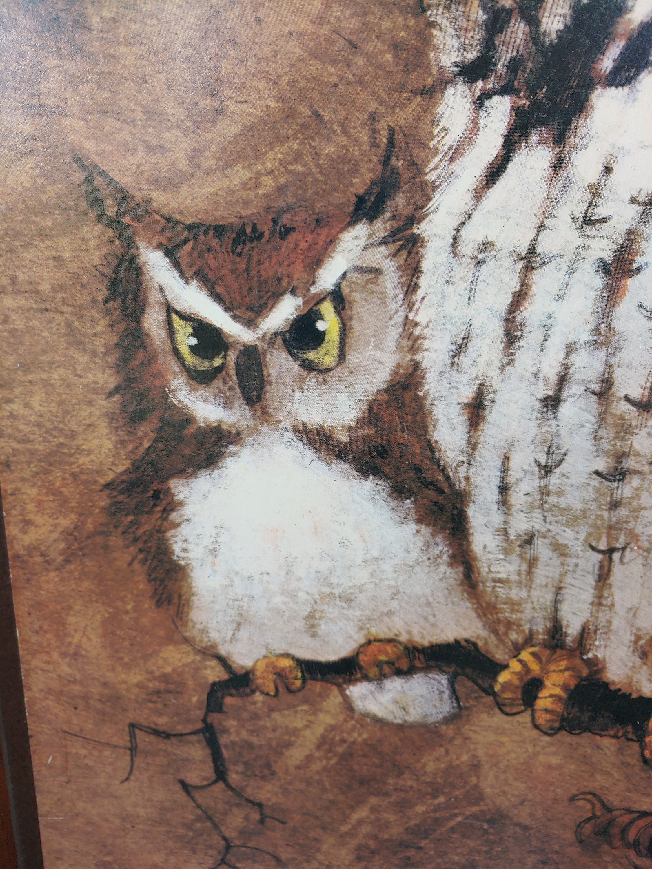 Vintage Wildlife Owl Print Artist Richard Hinger Bird of Prey Woodland ...