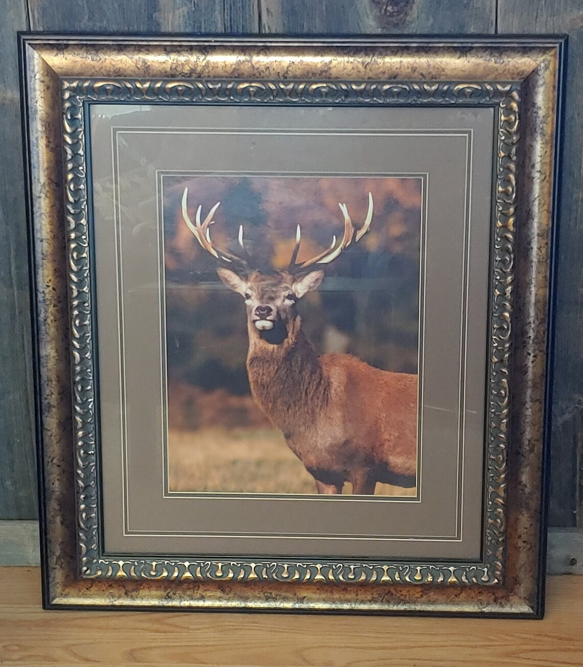 Antique Elk Stag Print Ornate Frame Woodland Wildlife Animal - Etsy