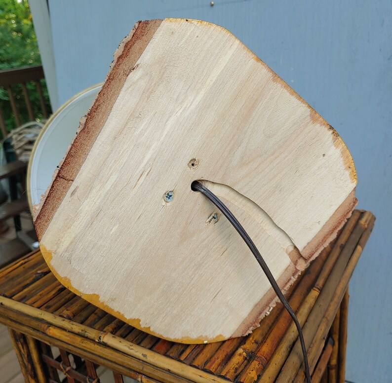 Birch Log Lamp With Faux Leather Shade Rustic Lamp Birch - Etsy