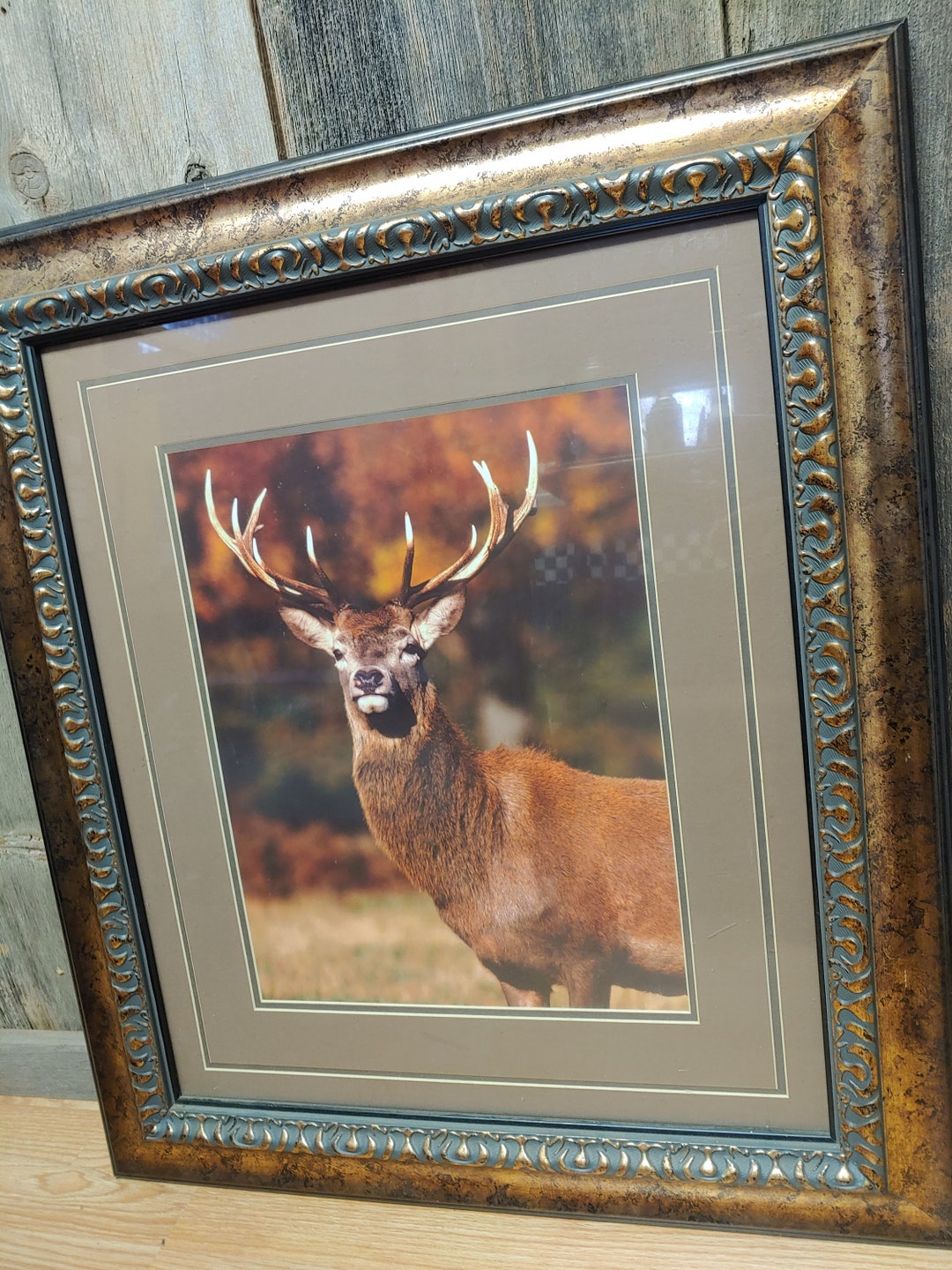 Antique Elk Stag Print Ornate Frame Woodland Wildlife Animal - Etsy