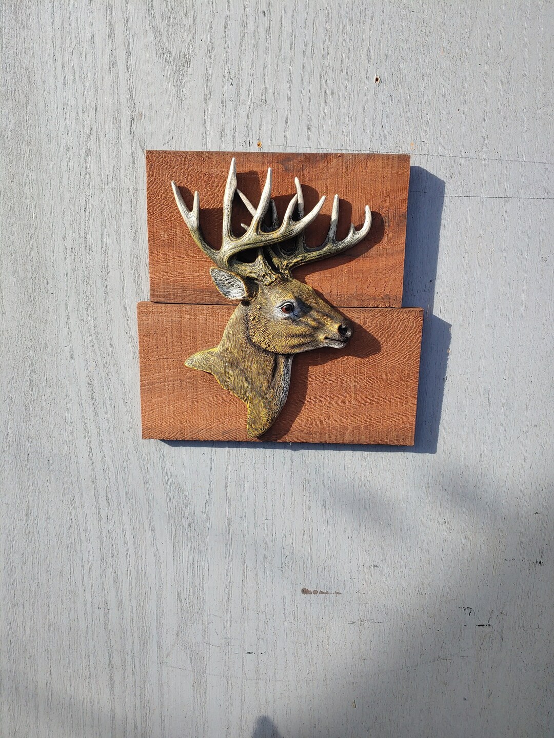 Rustic Resin Whitetail Deer Sign: Cedar Woodland Wall Art ~ 1002 - Etsy