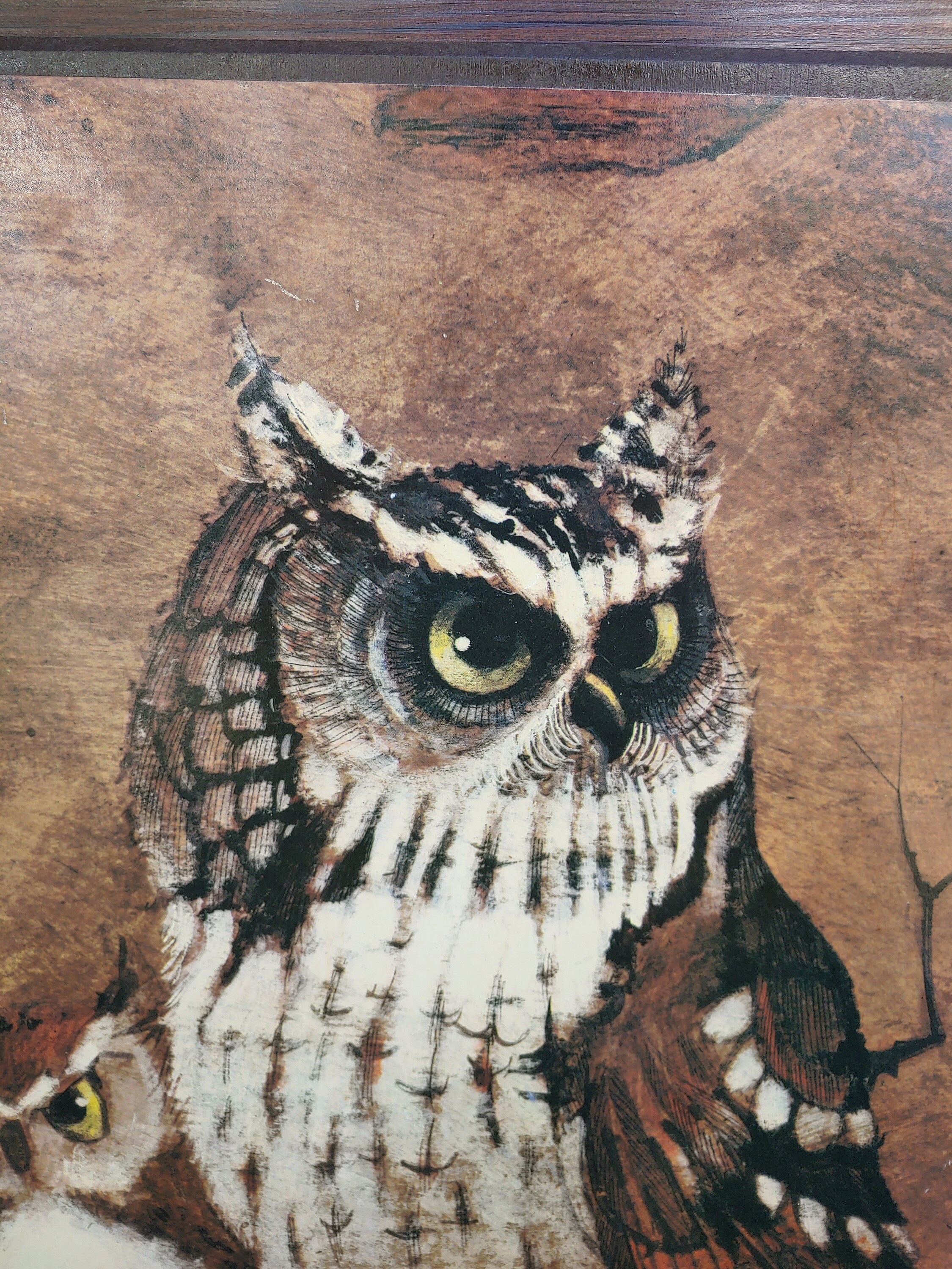 Vintage Wildlife Owl Print Artist Richard Hinger Bird of Prey Woodland ...