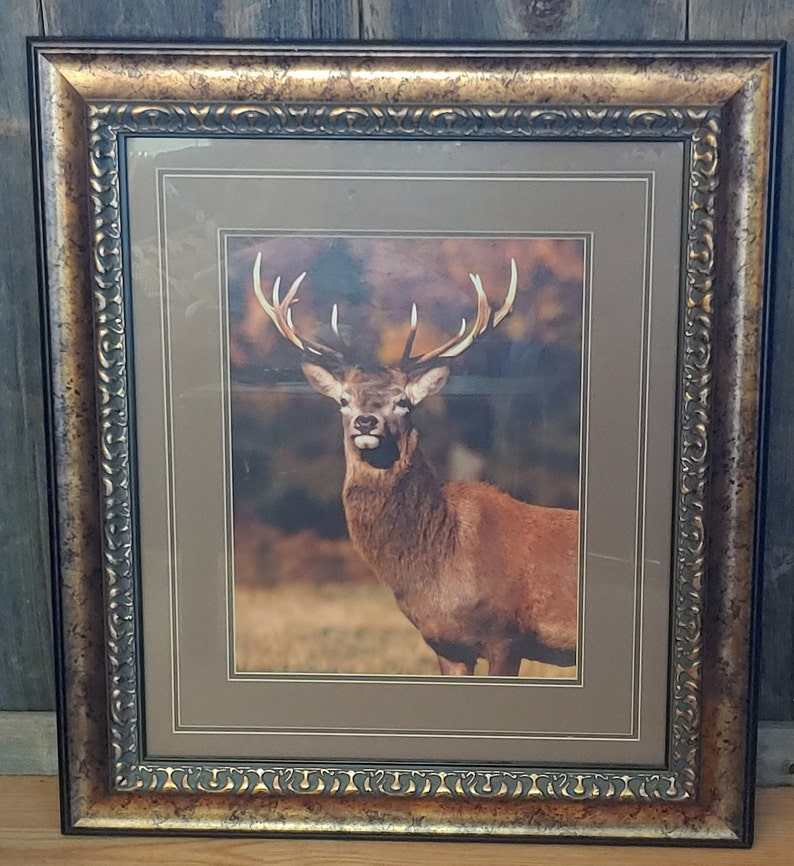 Antique Elk Stag Print Ornate Frame Woodland Wildlife Animal - Etsy