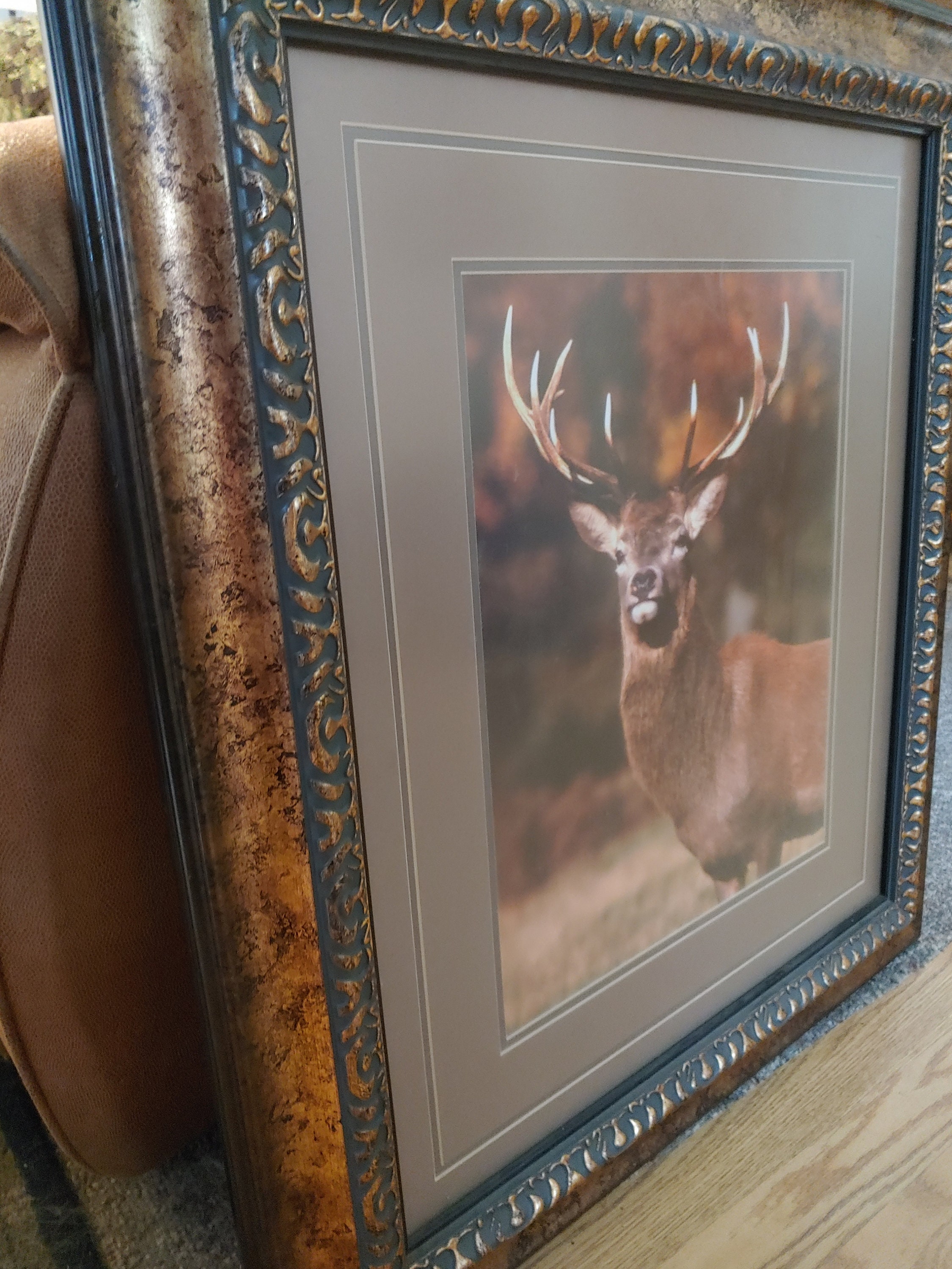 Antique Elk Stag Print, Ornate Frame Woodland, Wildlife Animal Print ...