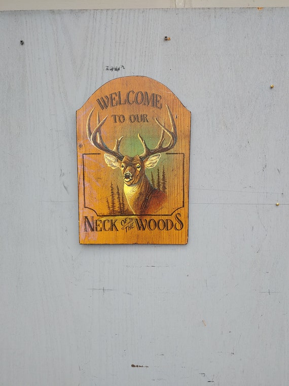 Deer Signs In The Woods