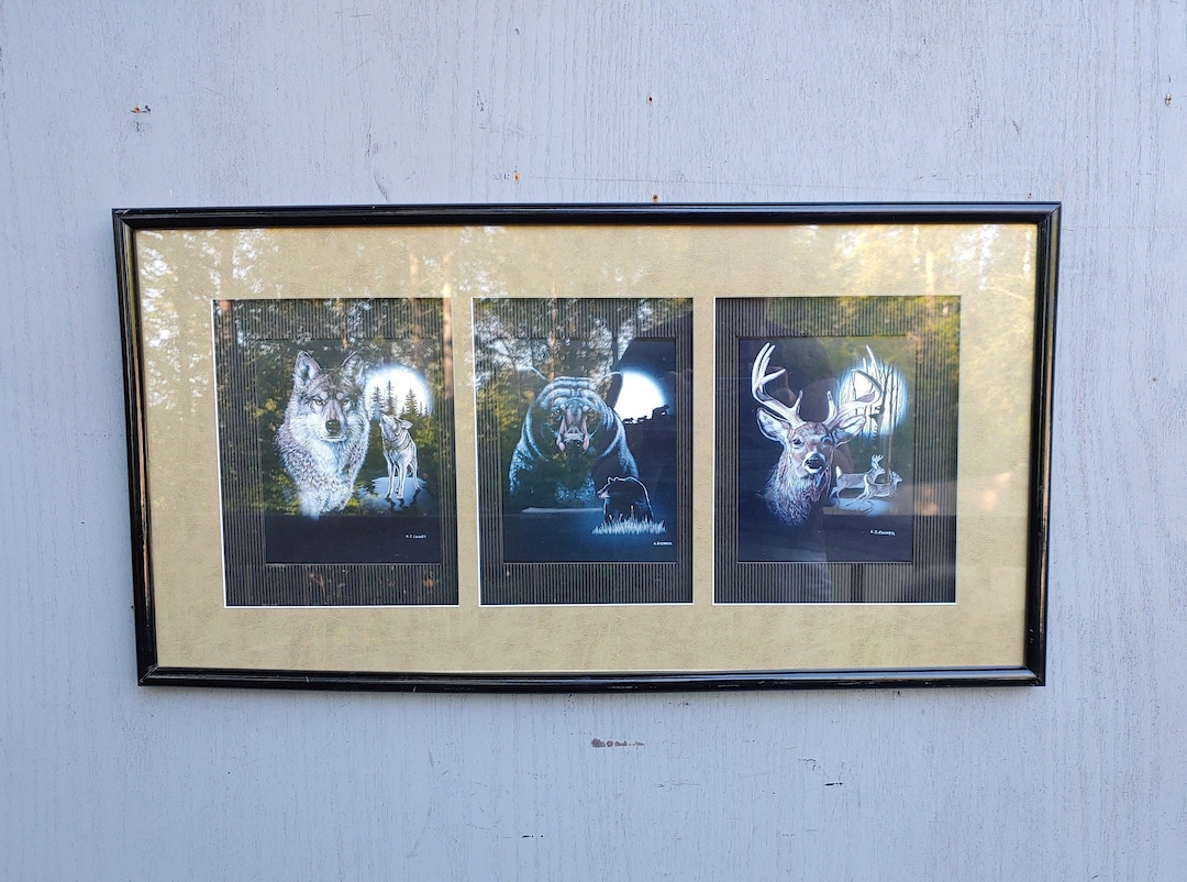 Wildlife Animal Photos Bear Whitetail Deer Wolf Framed Matted Black ...