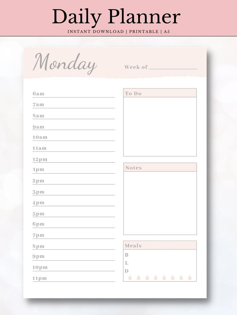 Printable Daily Planner Diary Schedule, Meals, Notes, to Do List ...