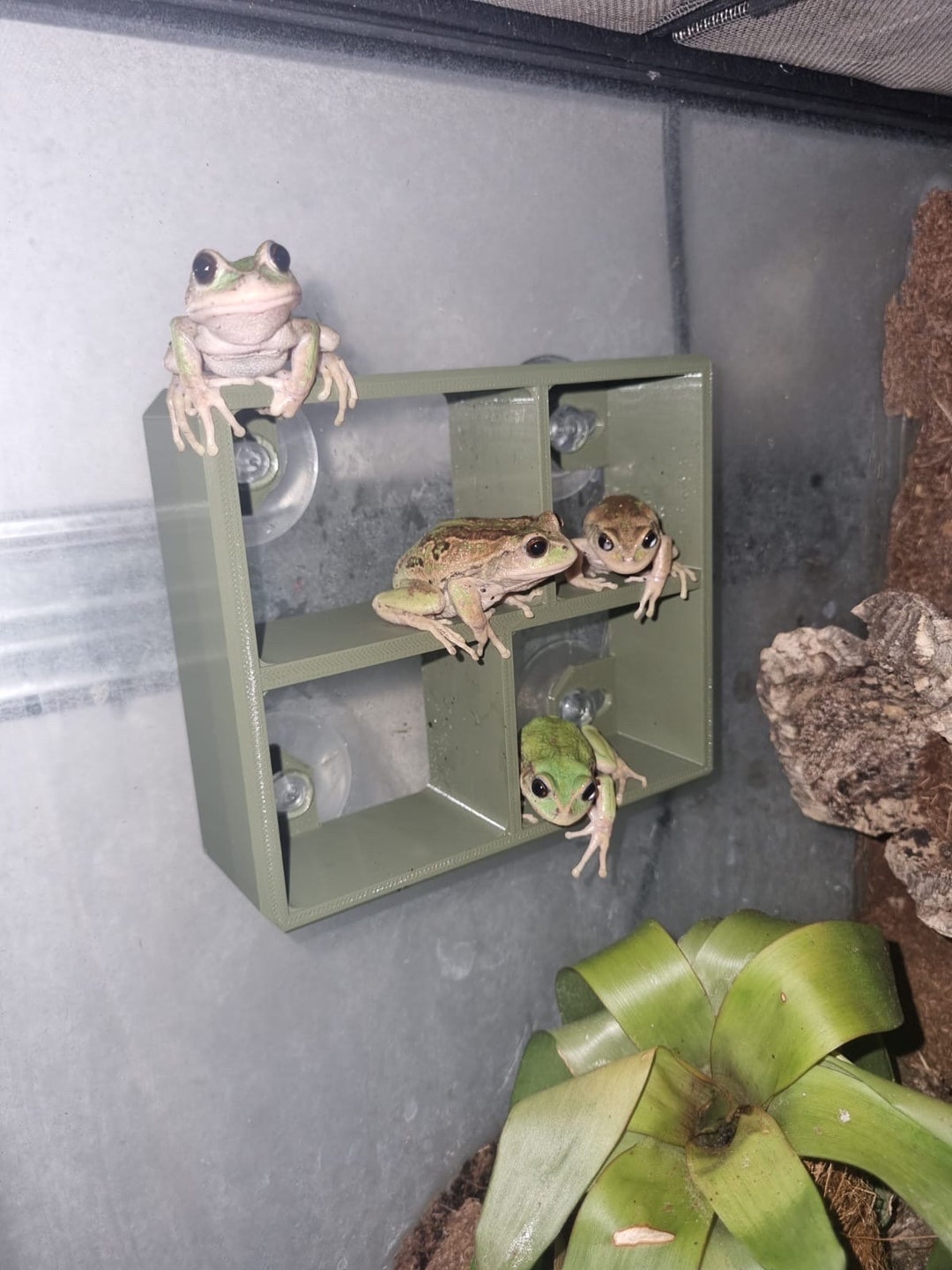 The ONLY Frog Ledge You Need - the LOAF Shelf. Perfect for All of Our ...