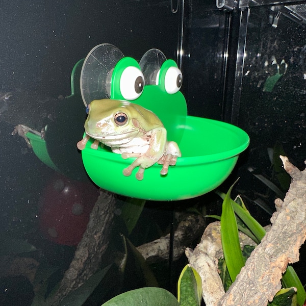 Frog Dish - Etsy