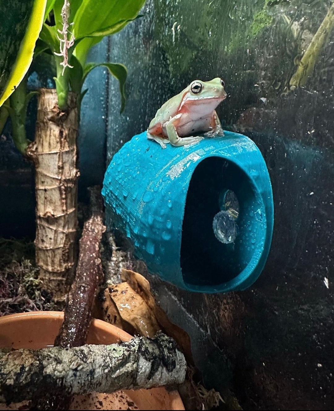 The Mourning Hideaway Reptile Hide. Crested Gecko Hide, Frog Hide ...