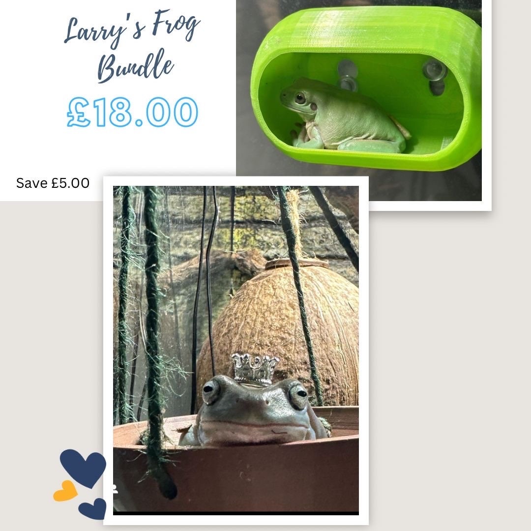Larry’s Frog Bundle - Frog Hide Reptile/frog/ Hide / Ledge With Strong ...