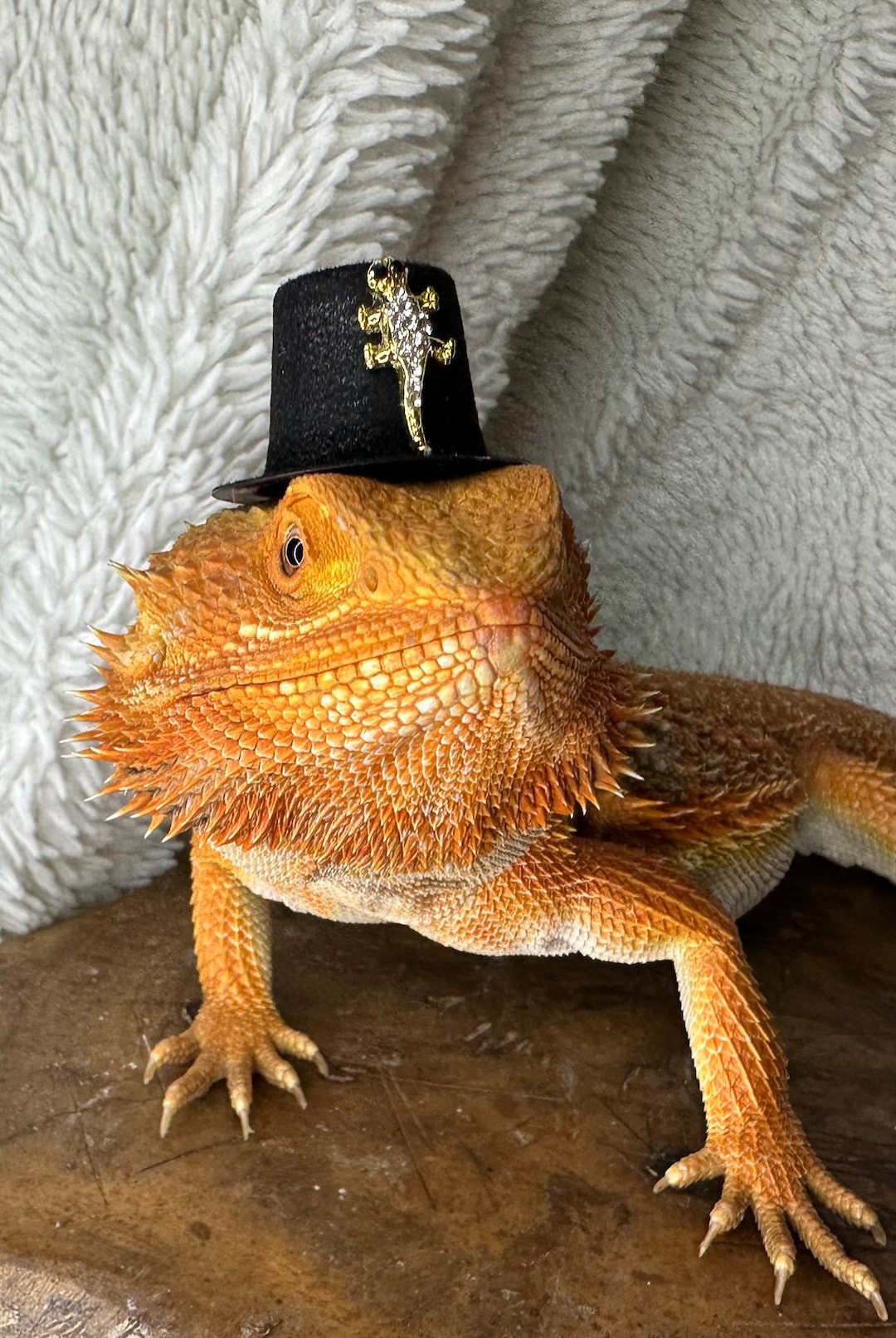 Larry the Lizard TOP HAT, Reptile Hat, Lizard Hat. Frog Hat, Rat Hat ...
