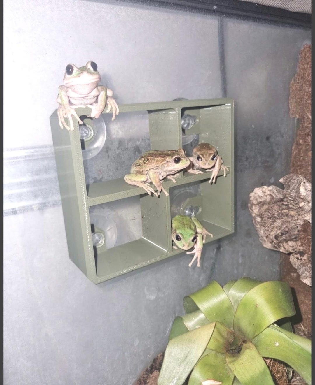 The Frog Ledge You Need - the LOAF Shelf. Perfect for All of Our Froggy ...