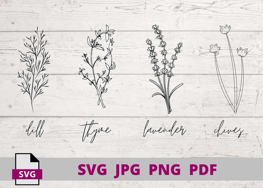 Herbs SVG Dill Thyme Lavender Chives Svg Wildflower Svg - Etsy