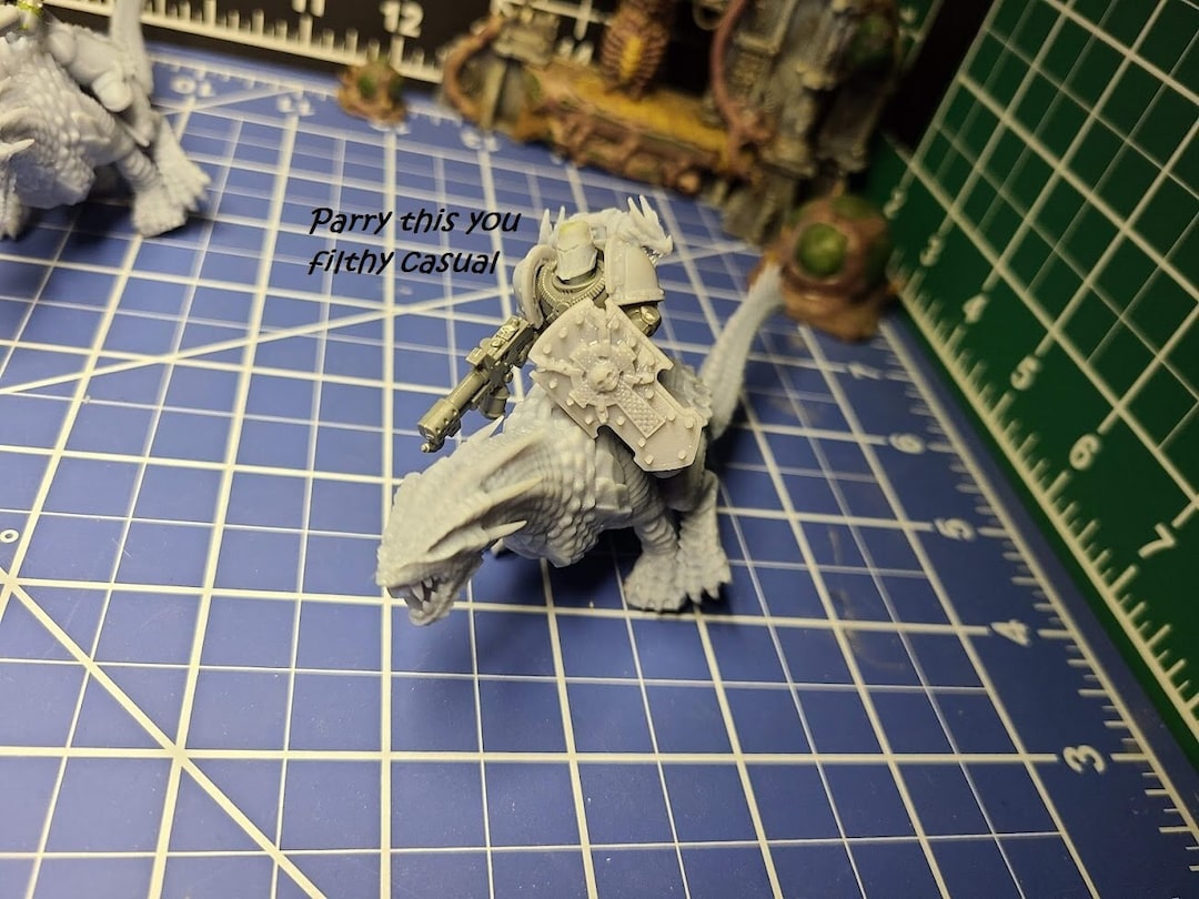 Riding Drake for Paladins of the Draconic Order (sci-fi and Fantasy ...