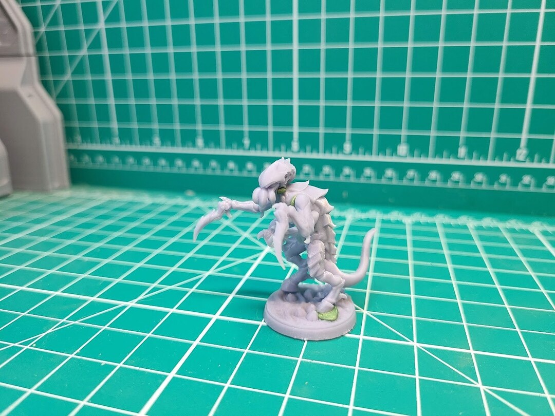 Kai'julun Swarmling (10 Poses, Modular Heads/arms, 28mm Bases ...