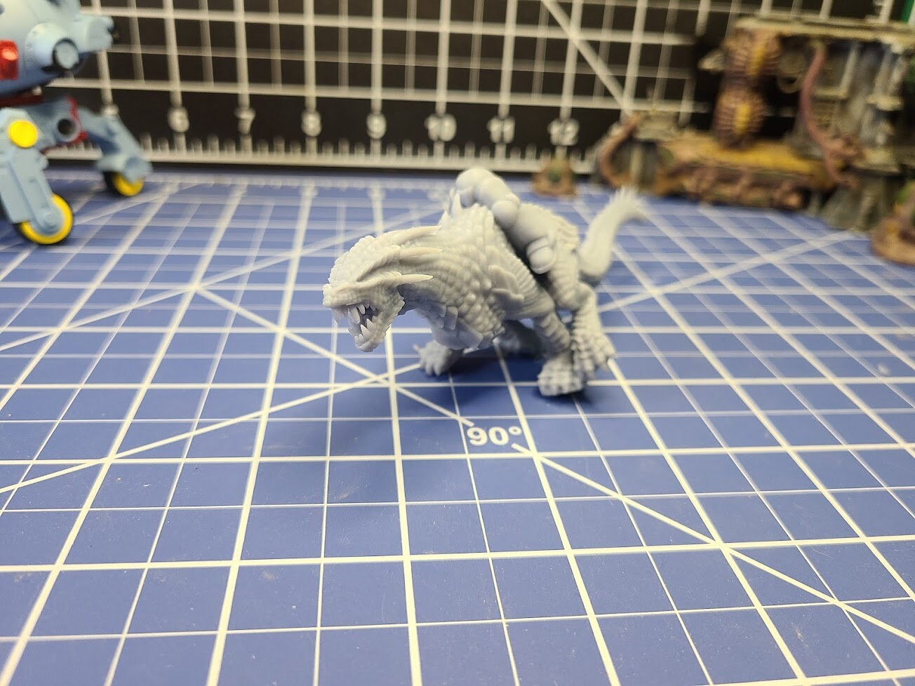 Riding Drake for Paladins of the Draconic Order (sci-fi and Fantasy ...