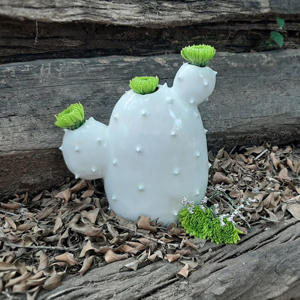 Cactus Vase - Etsy