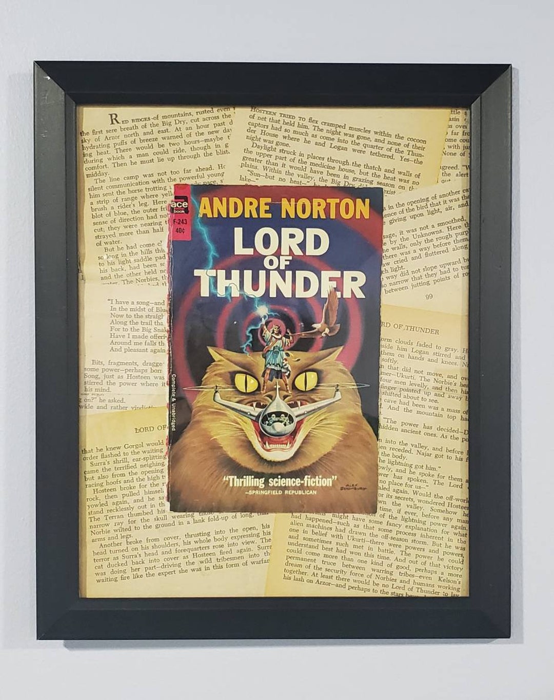 Andre Norton - Lord of Thunder - Vintage Paperback Book Cover Collage ...
