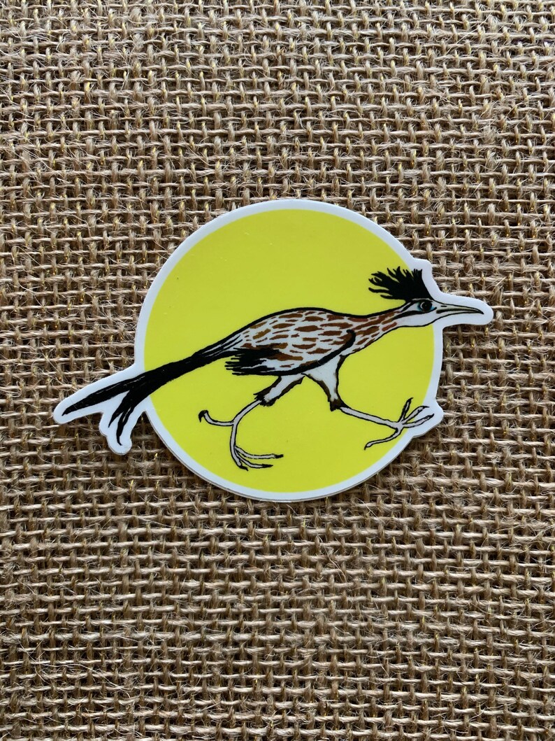 Roadrunner Die Cut Vinyl Sticker for Laptop / Hydroflask / Car - Etsy