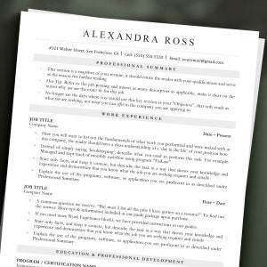 ATS Friendly Resume, Word Google Docs Resume, Teacher Resume Template ...