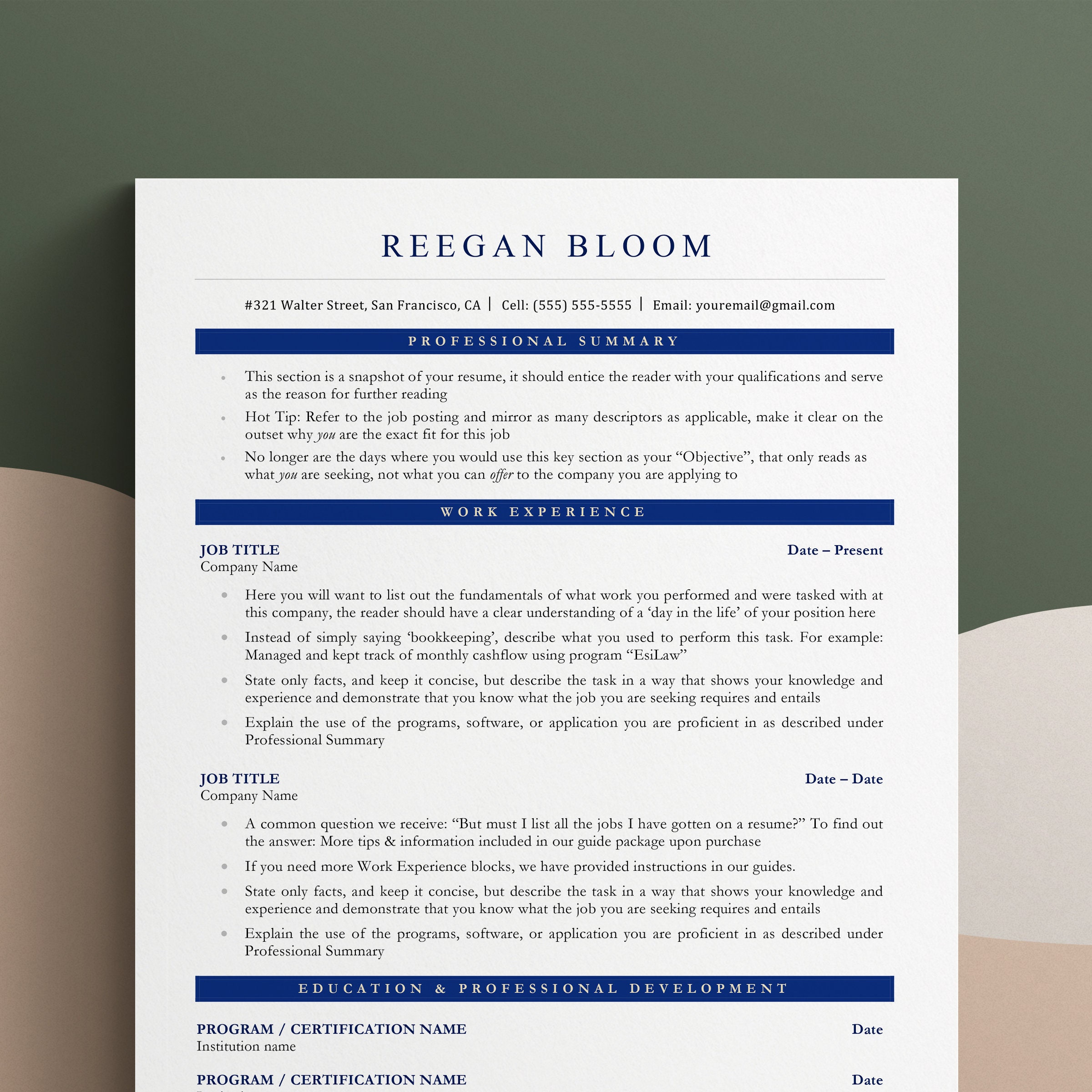 Professional Resume, Executive CV Template, CV Template Simple, Cv ...