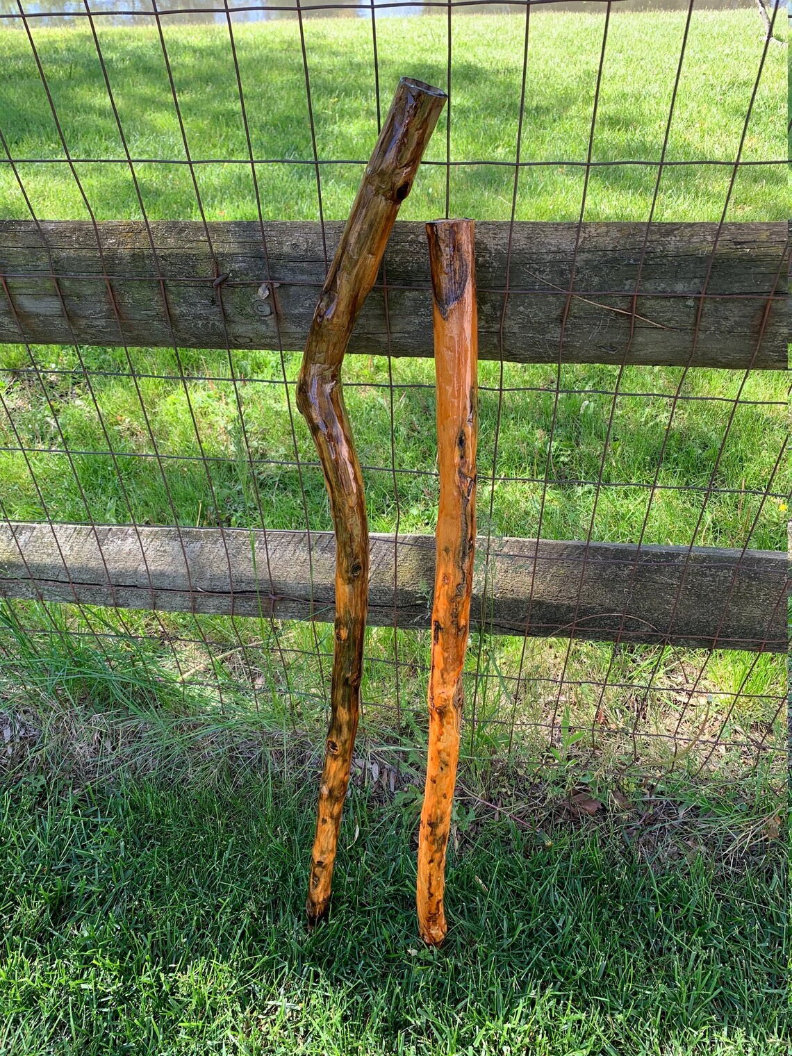 Hiking Sticks Free Shipping Customize or Personalized. Each - Etsy UK