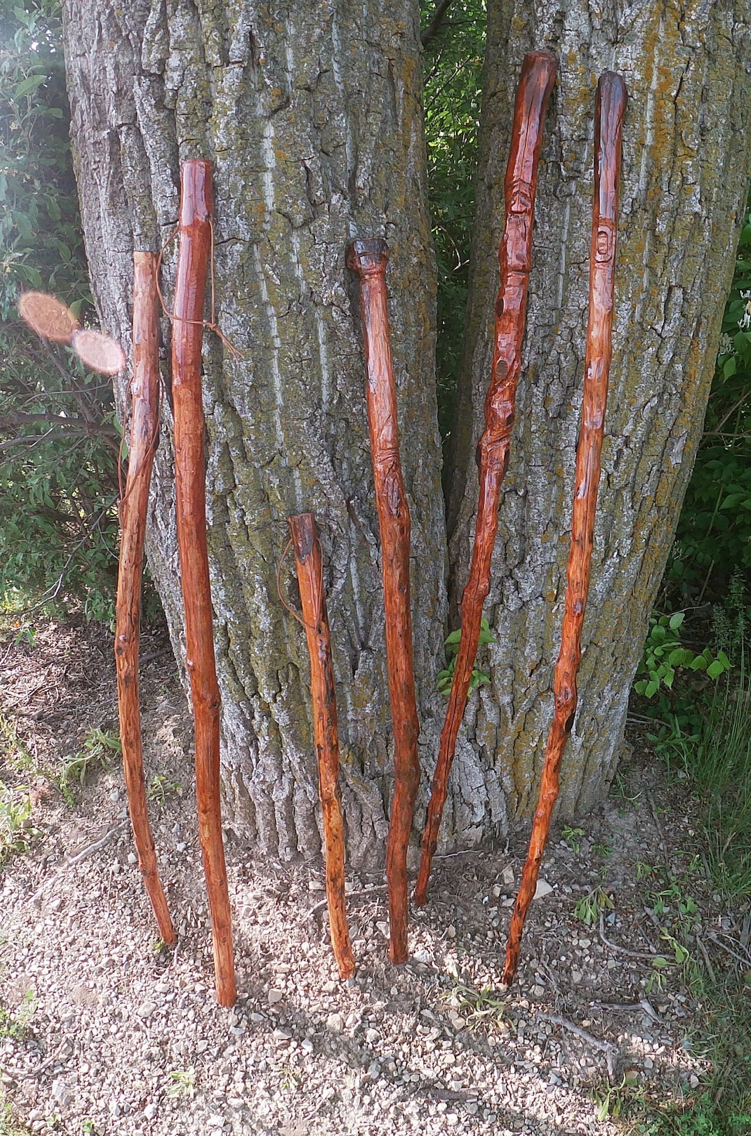 Hiking Sticks! Free Shipping! Customize or Personalized. Each Stick is ...
