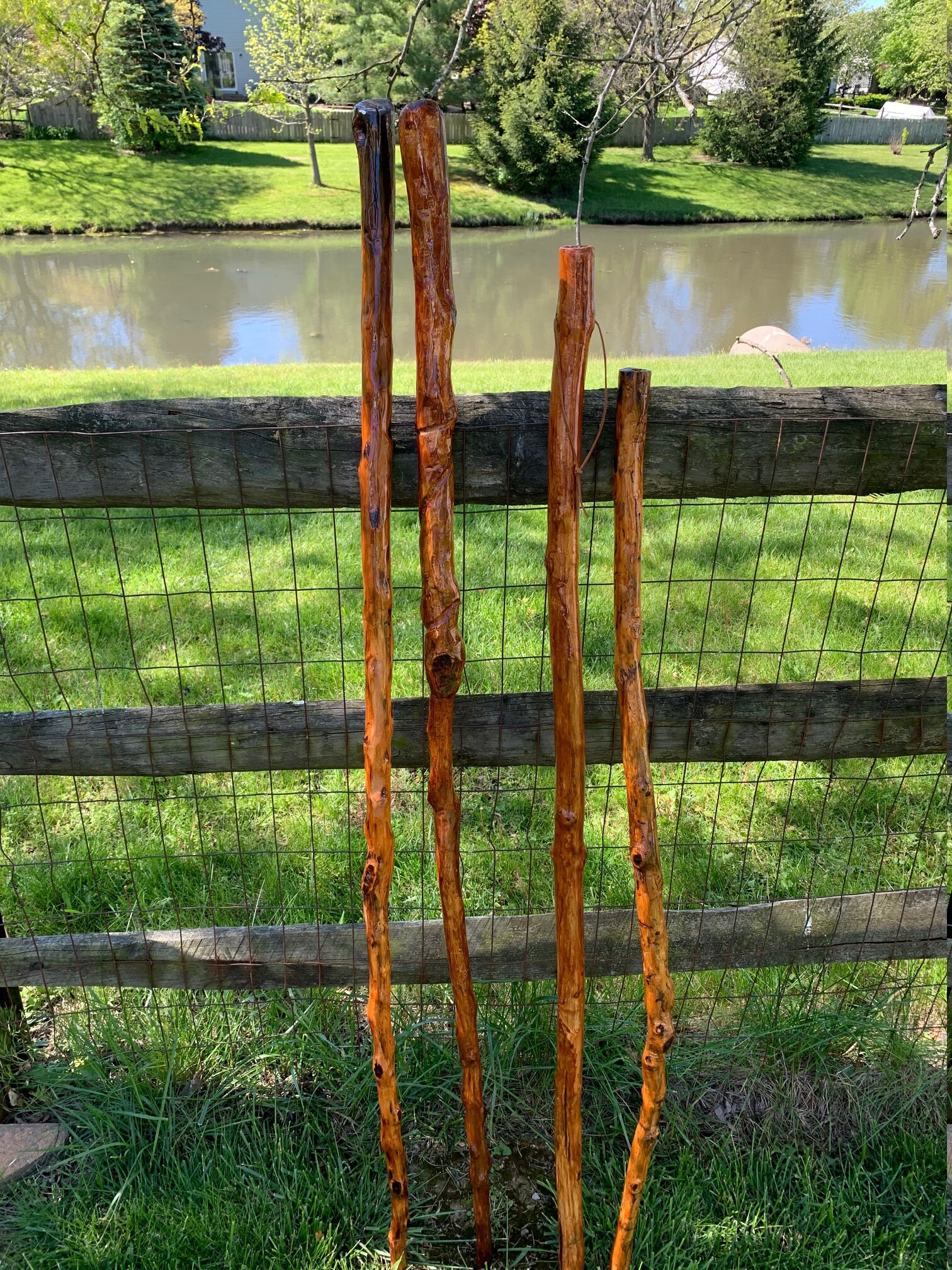 Hiking Sticks Free Shipping Customize or Personalized. Each - Etsy Canada