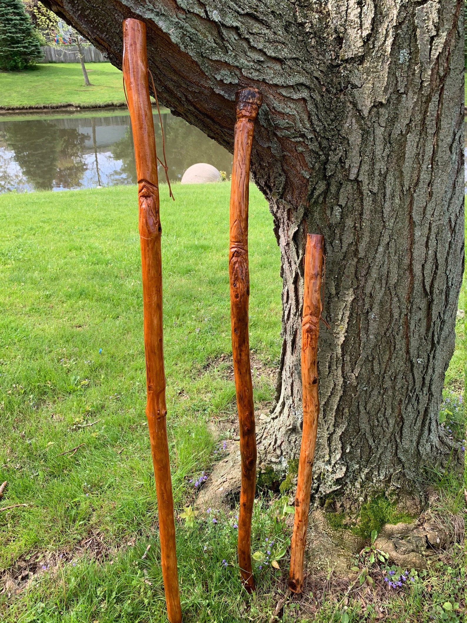 Hiking Sticks Free Shipping Customize or Personalized. Each - Etsy