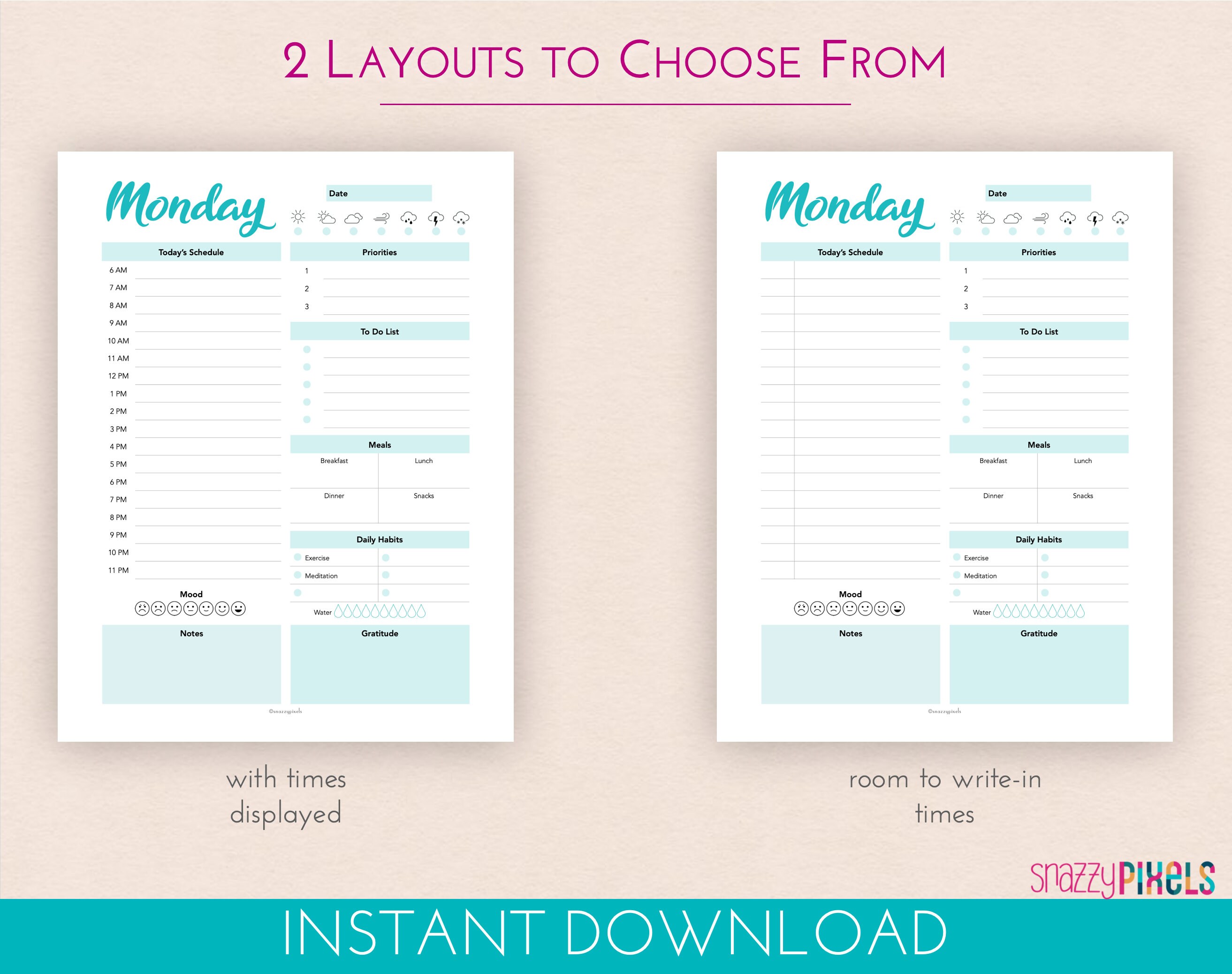 Daily Planner Printable PDF color Hourly Schedule Daily - Etsy