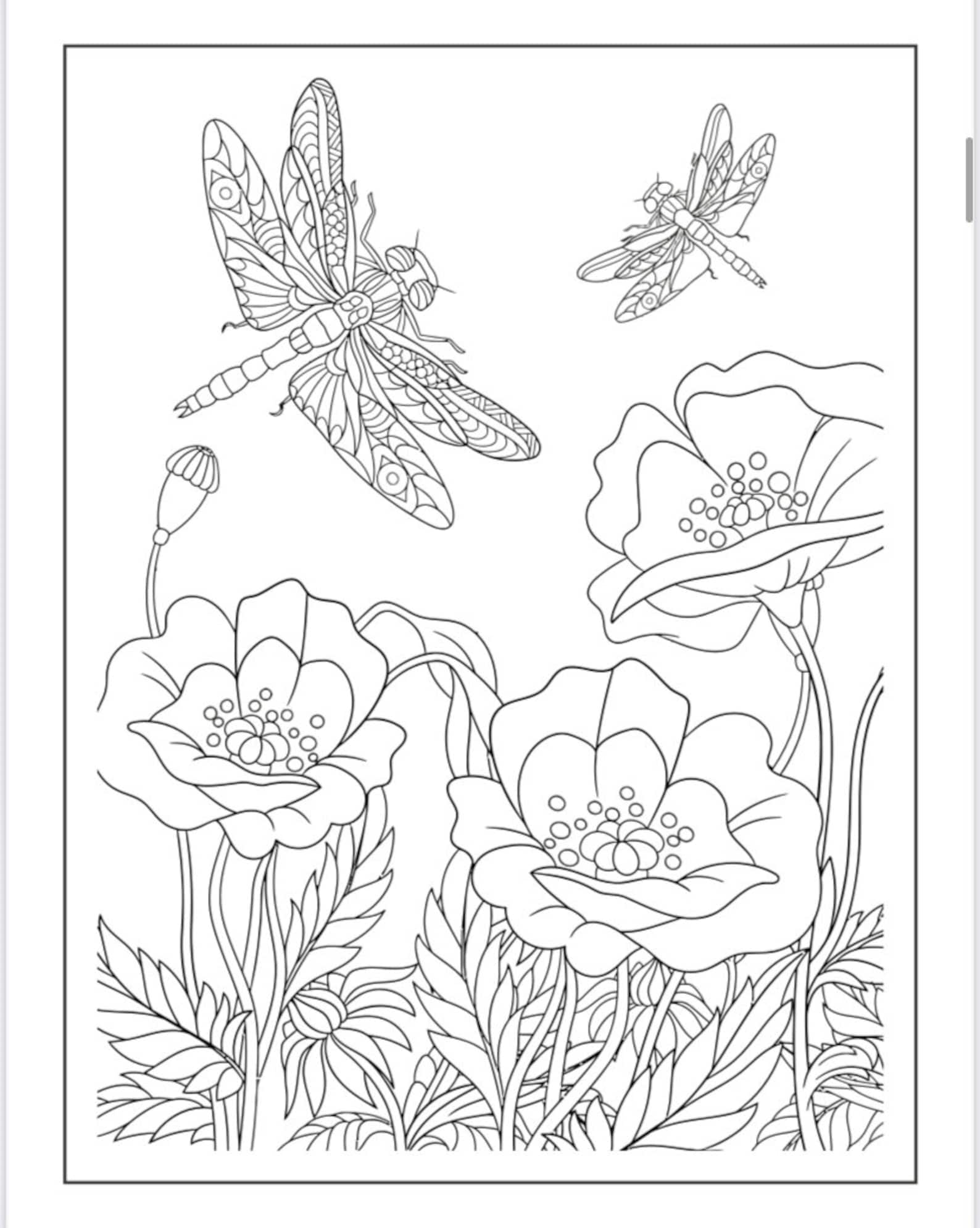 BIRDS BUGS BUTTERFLIES Printable Coloring Pages - Etsy