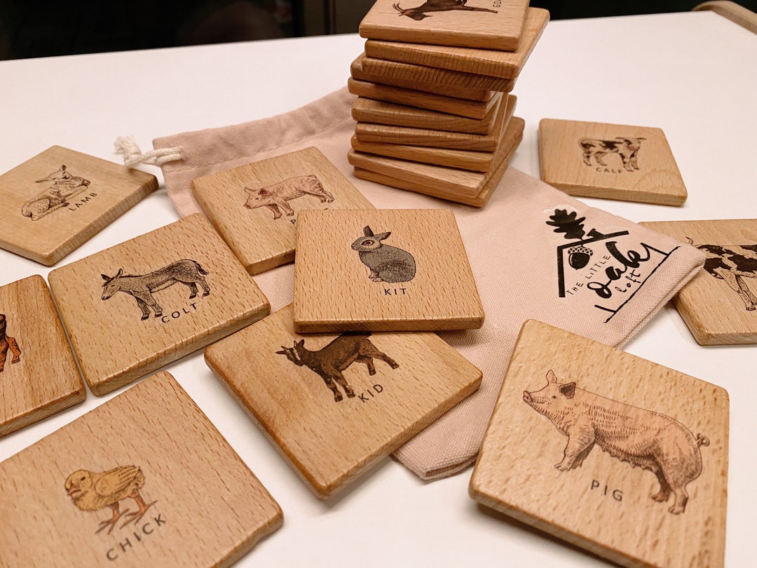Montessori Wooden Farm Animal Families Matching Memory Game ...