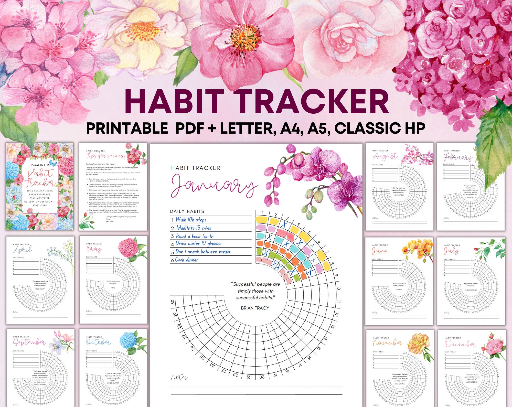 31 Day Habit Tracker Printable, 31 Day Habit Tracker Circle, 4 Week ...
