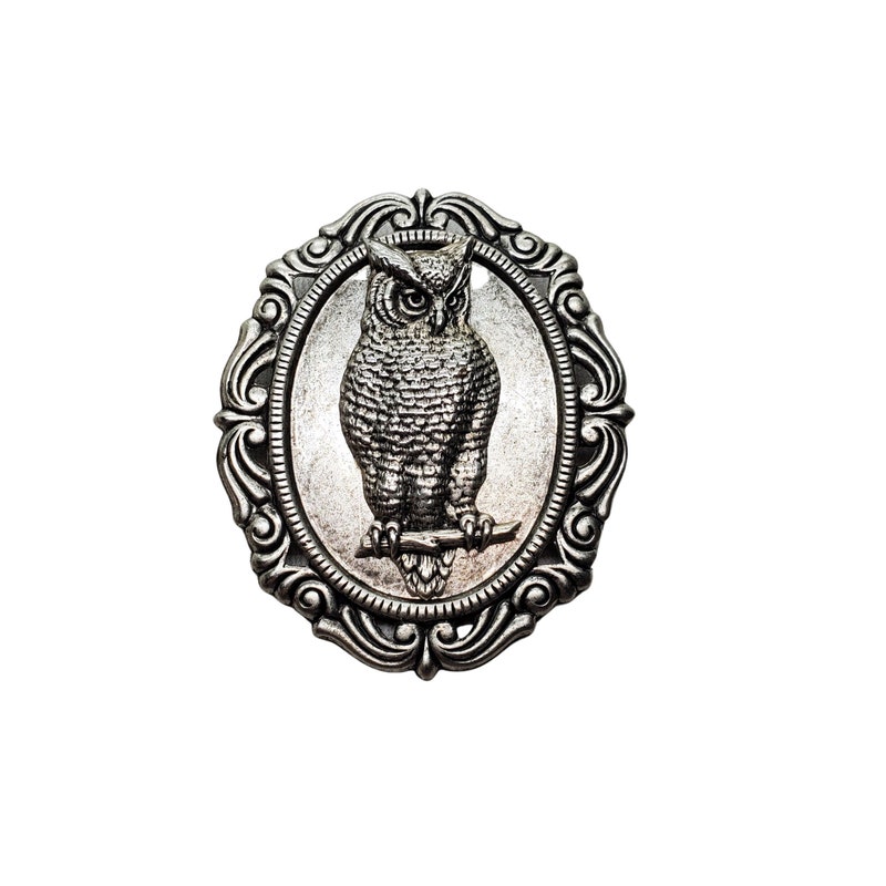 Owl Brooch Pin - Etsy