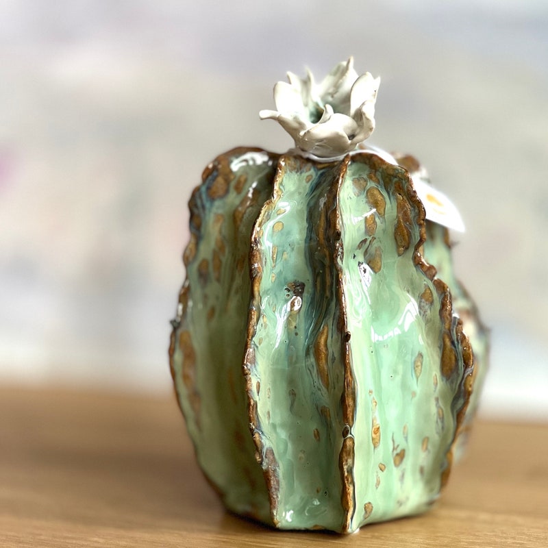 Cactus Pottery - Etsy
