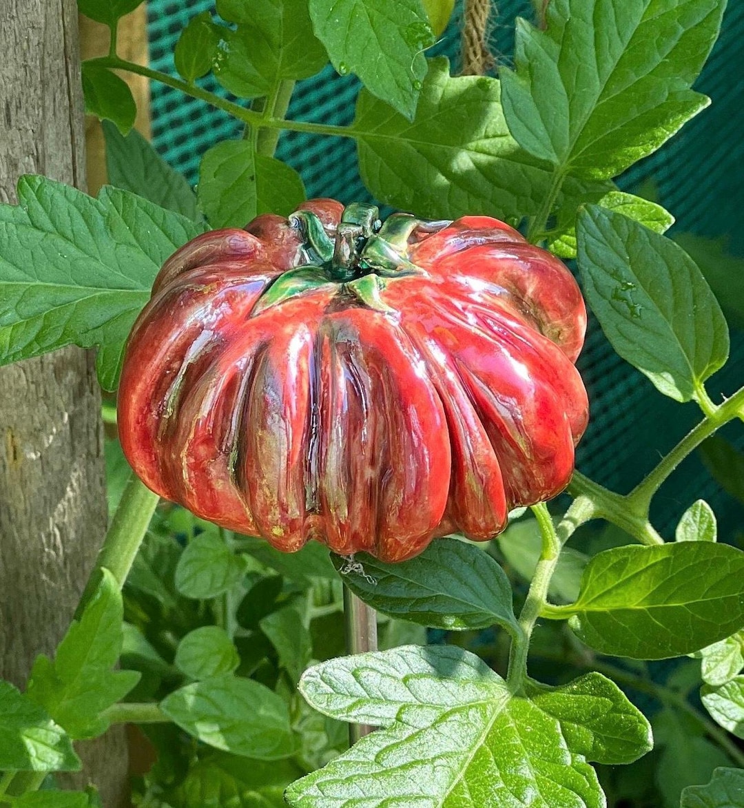 Ceramic Tomato Garden Stakes, for Attaching to Tomato Poles - Etsy