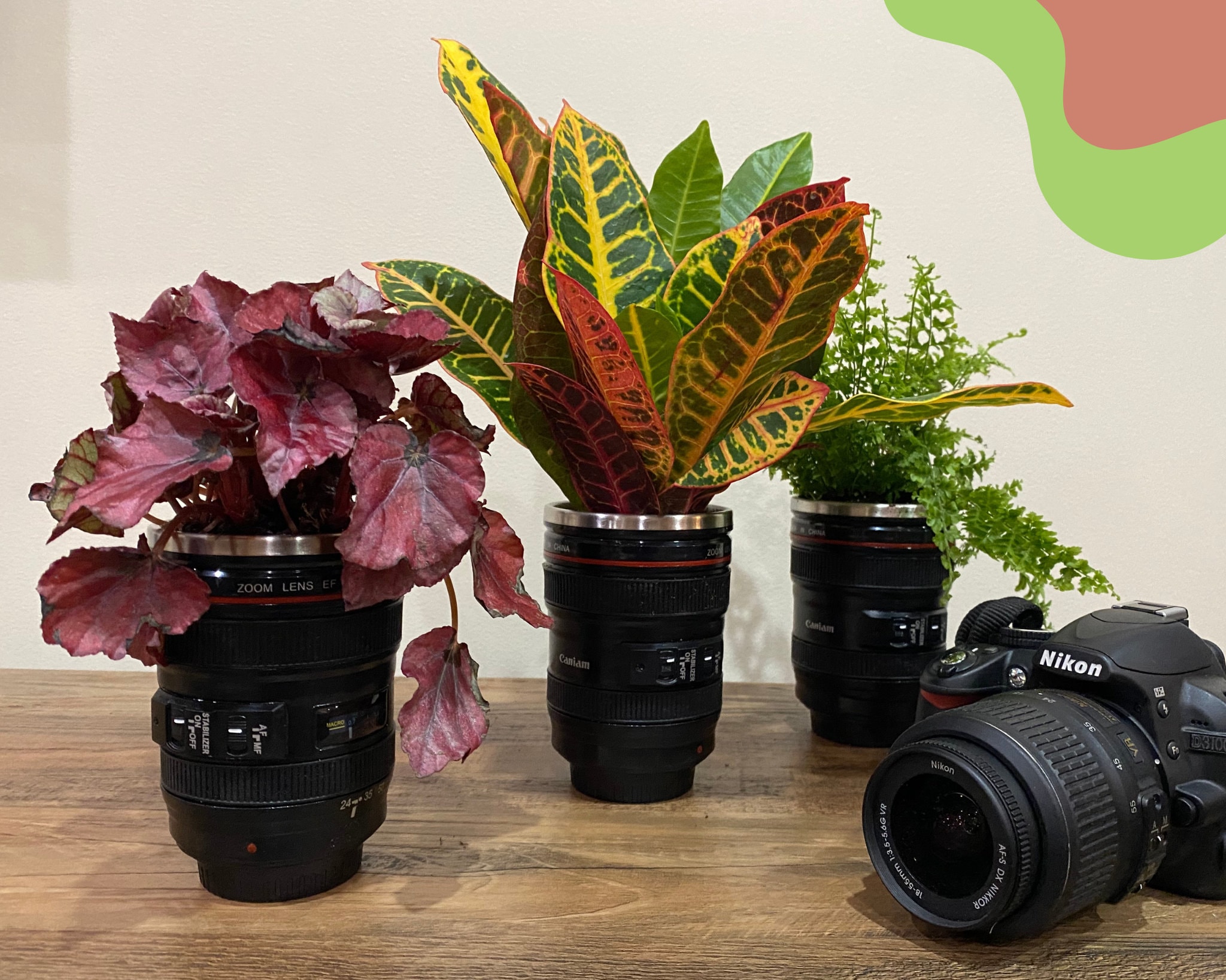 Camera Lens Flower Pot for Photographer - Succulent Planter Photography ...