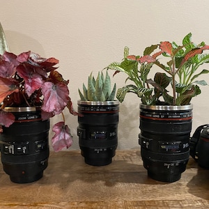 Camera Lens Flower Pot for Photographer - Succulent Planter Photography ...