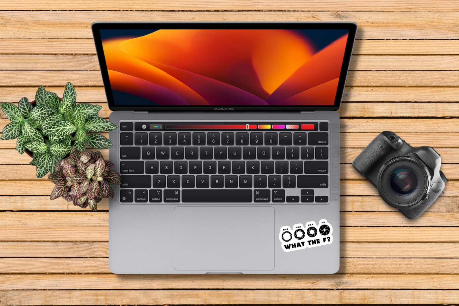 What the F Funny Photographer Sticker Photography Sticker - Etsy