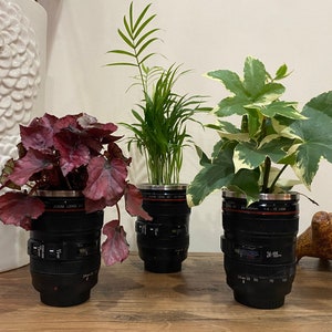 Camera Lens Flower Pot for Photographer - Succulent Planter Photography ...
