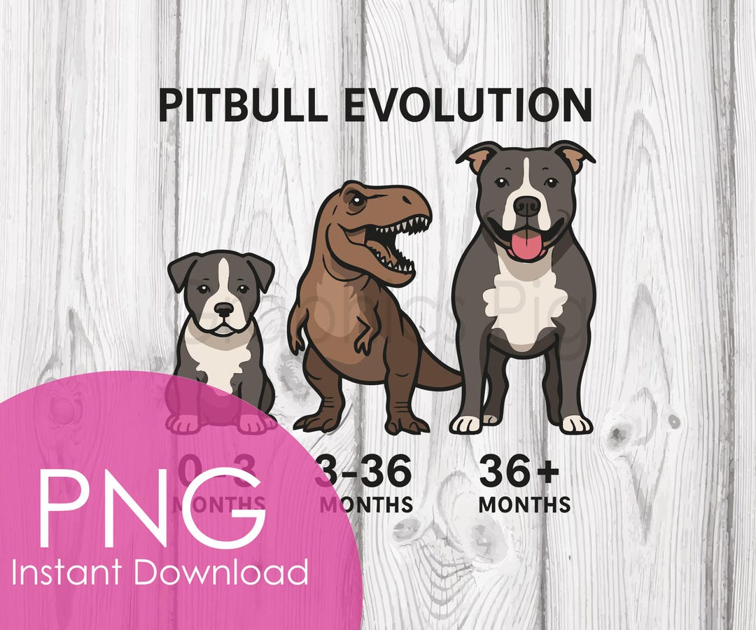 Funny Pitbull Evolution SVG PNG | T-rex Dog Humor Graphic for Cricut ...