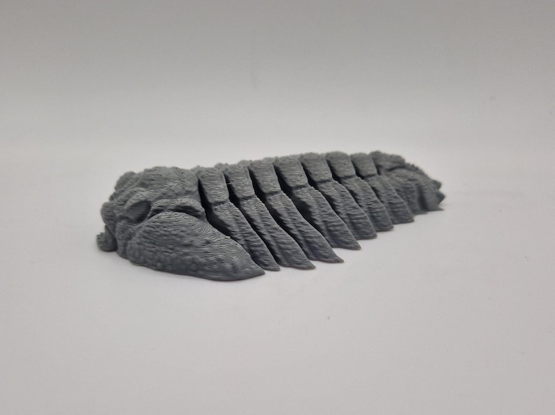 Trilobite Fossil Articulated Model Replica Arthropod Cambrian ...