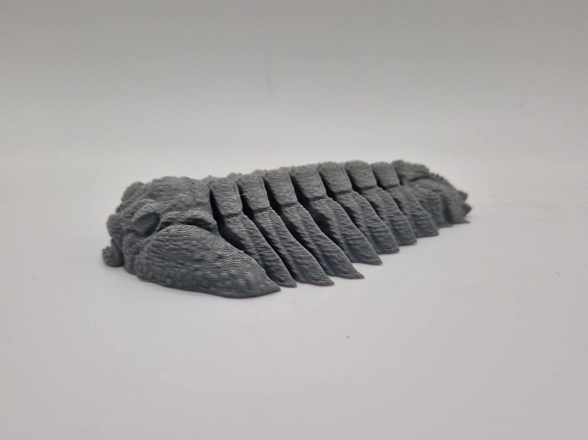 Trilobite Fossil Articulated Model Replica Arthropod Cambrian ...